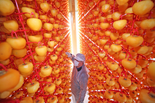 [신팔도명물] 달콤 쫄깃 겨울철 영양간식