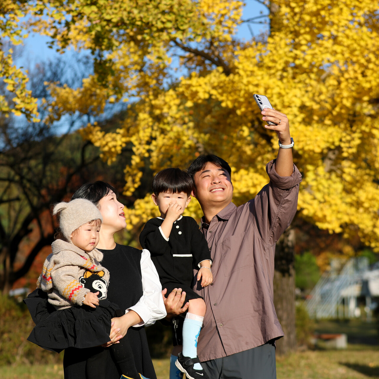 [포토] 황금빛 가을