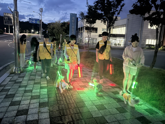계룡시, 반려문화·안전 두 마리 토끼 잡는 '펫순찰대' 출범